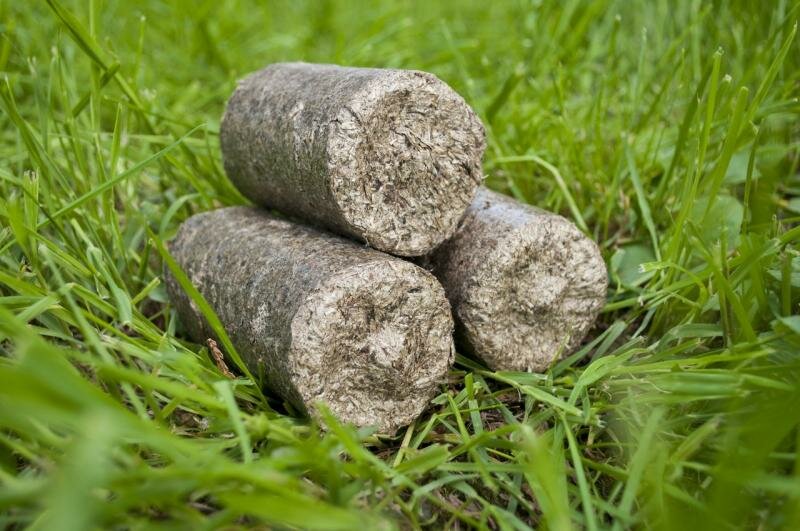 Invest In Kazakhstan | Construction of a flax shove biofuel plant in ...