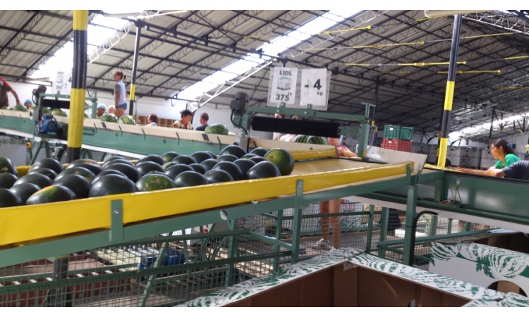 Invest In Kazakhstan | Construction of a melon processing plant ...